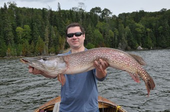 Walleye / Pickerel - Algoma Country