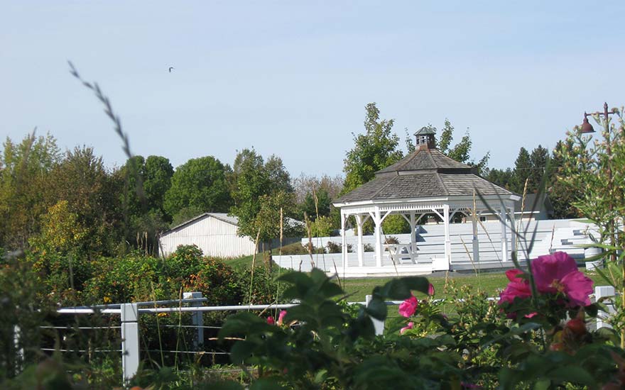 The Algoma Blog - Stories about Algoma Country in Ontario