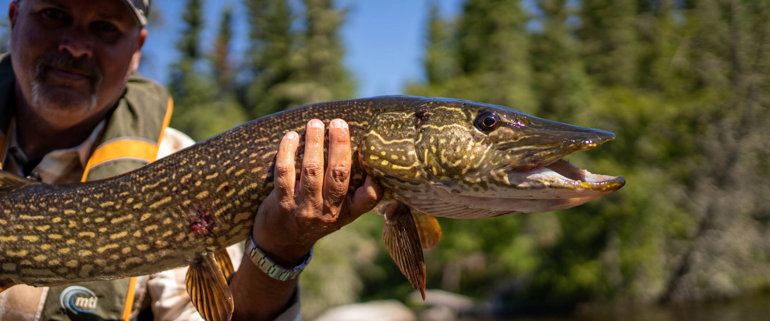 Official Site of Tourism in Algoma Country | Northern Ontario, Canada