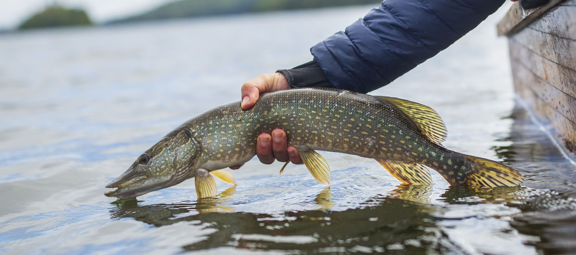 Official Site of Tourism in Algoma Country | Northern Ontario, Canada